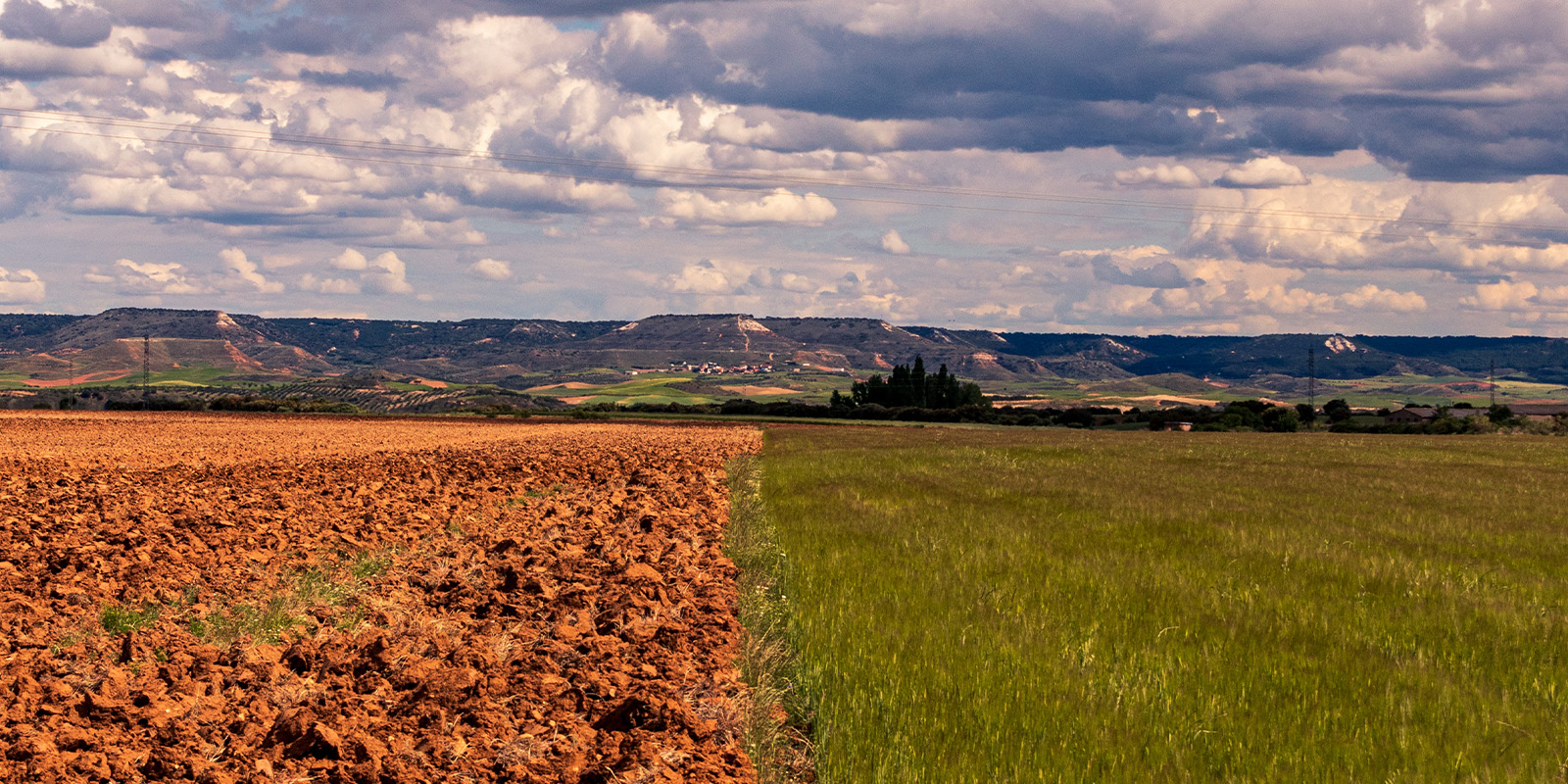 Conheça os tipos de lotes existentes